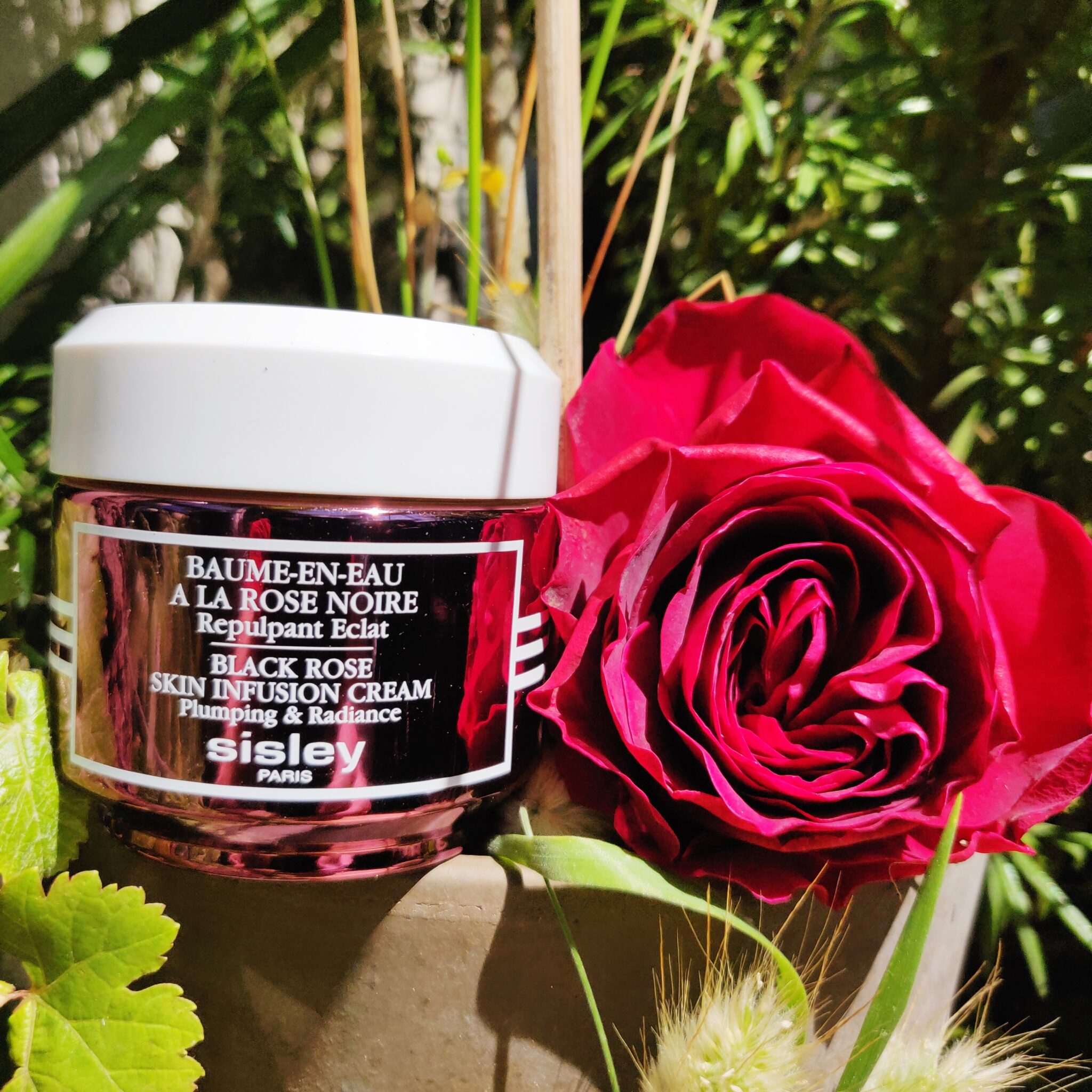 Sisley Review> Baume-en-eau Rose Noire / Black Rose Skin Infusion Cream